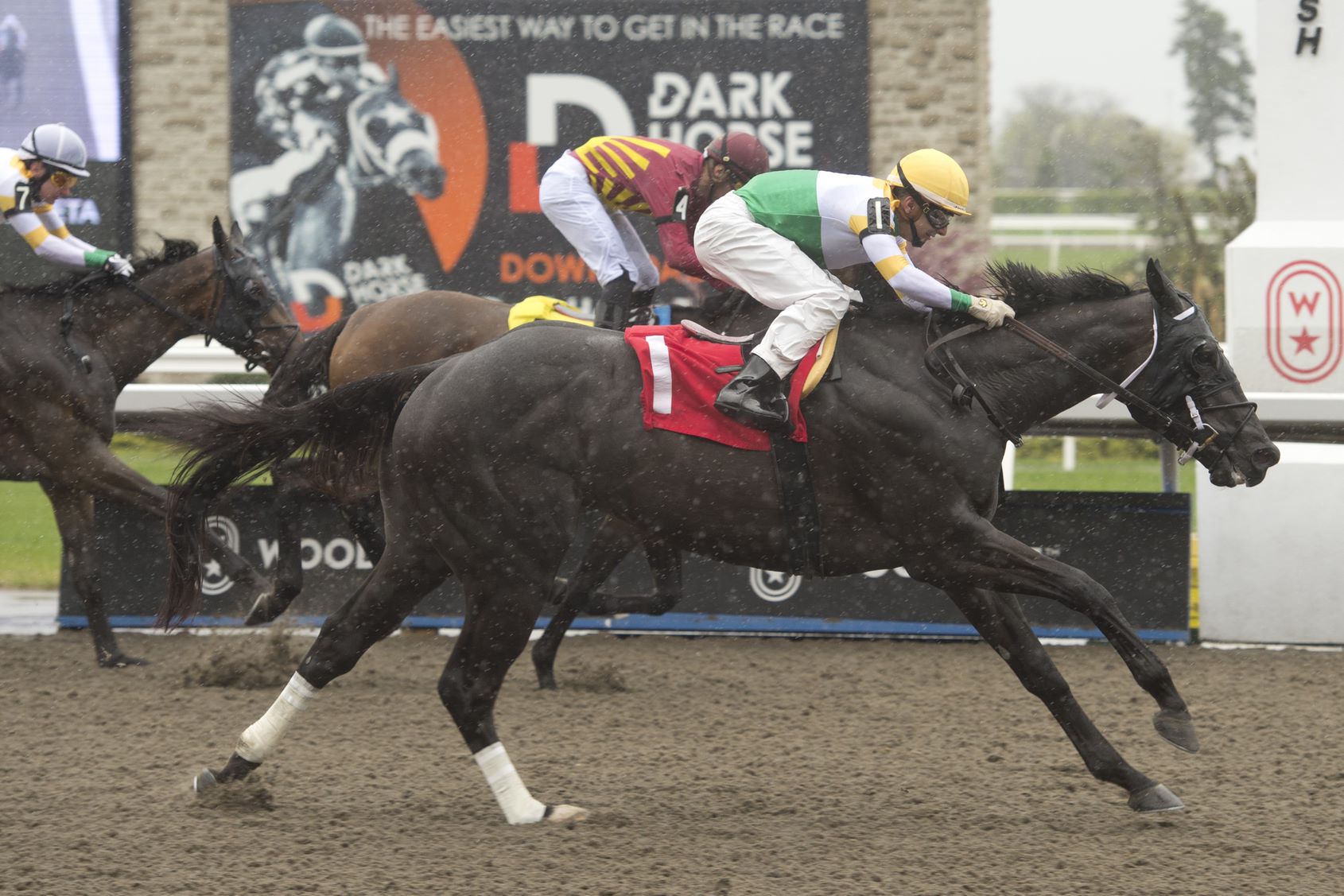 Thoroughbred – Photo finish - Woodbine Racetrack