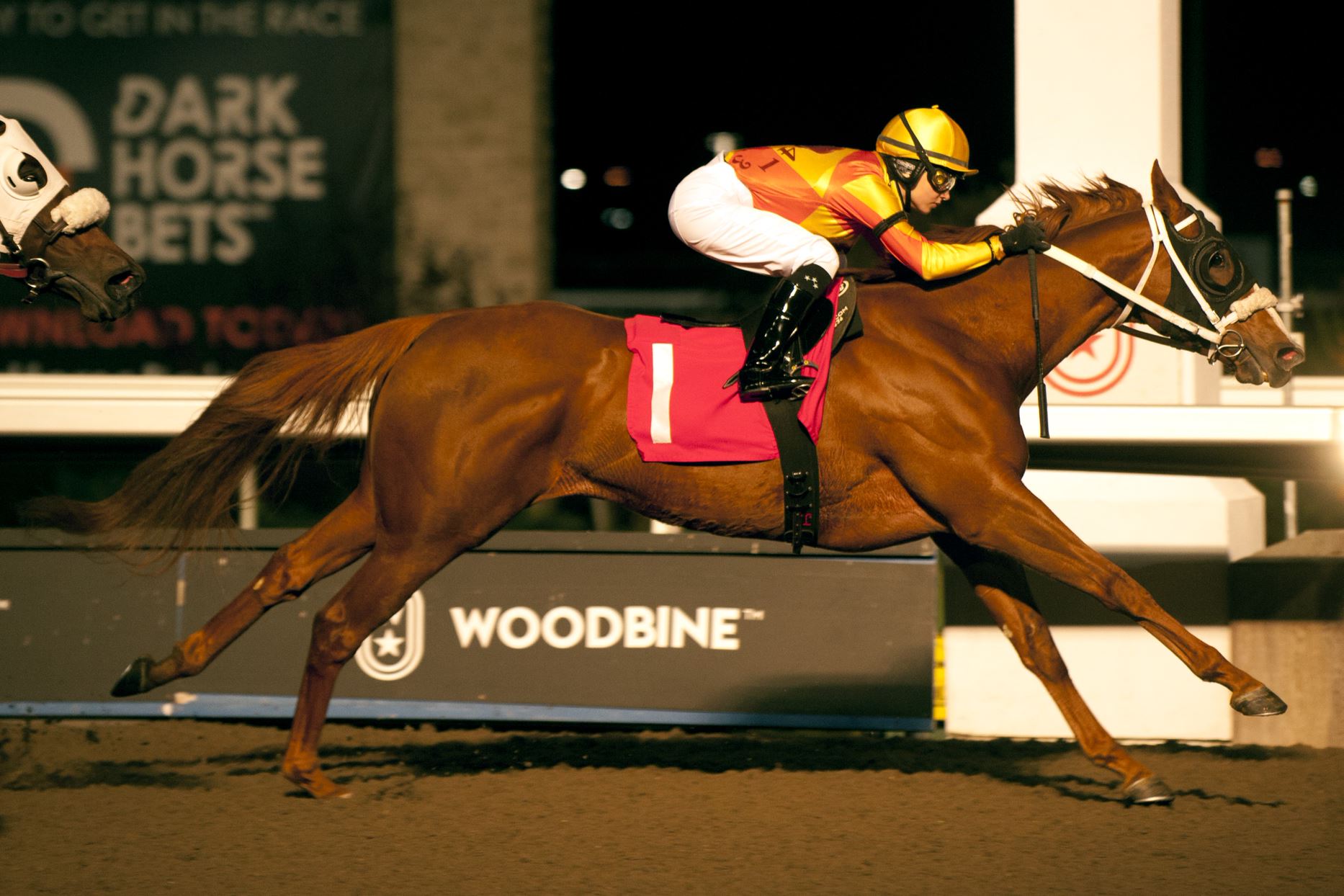 Sofia Vives: “Racing, it runs through my mind all day” - Woodbine Racetrack
