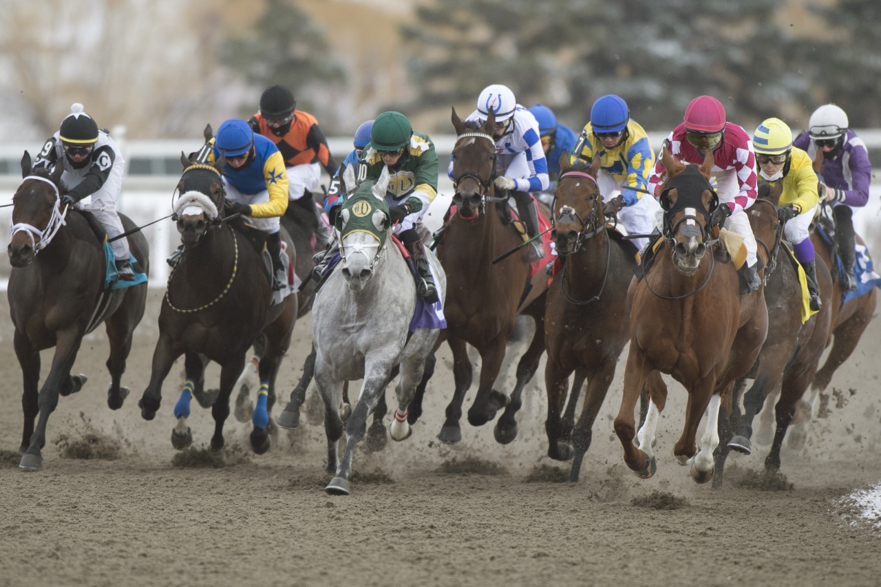 Woodbine meet leaders post impressive numbers - Woodbine Racetrack
