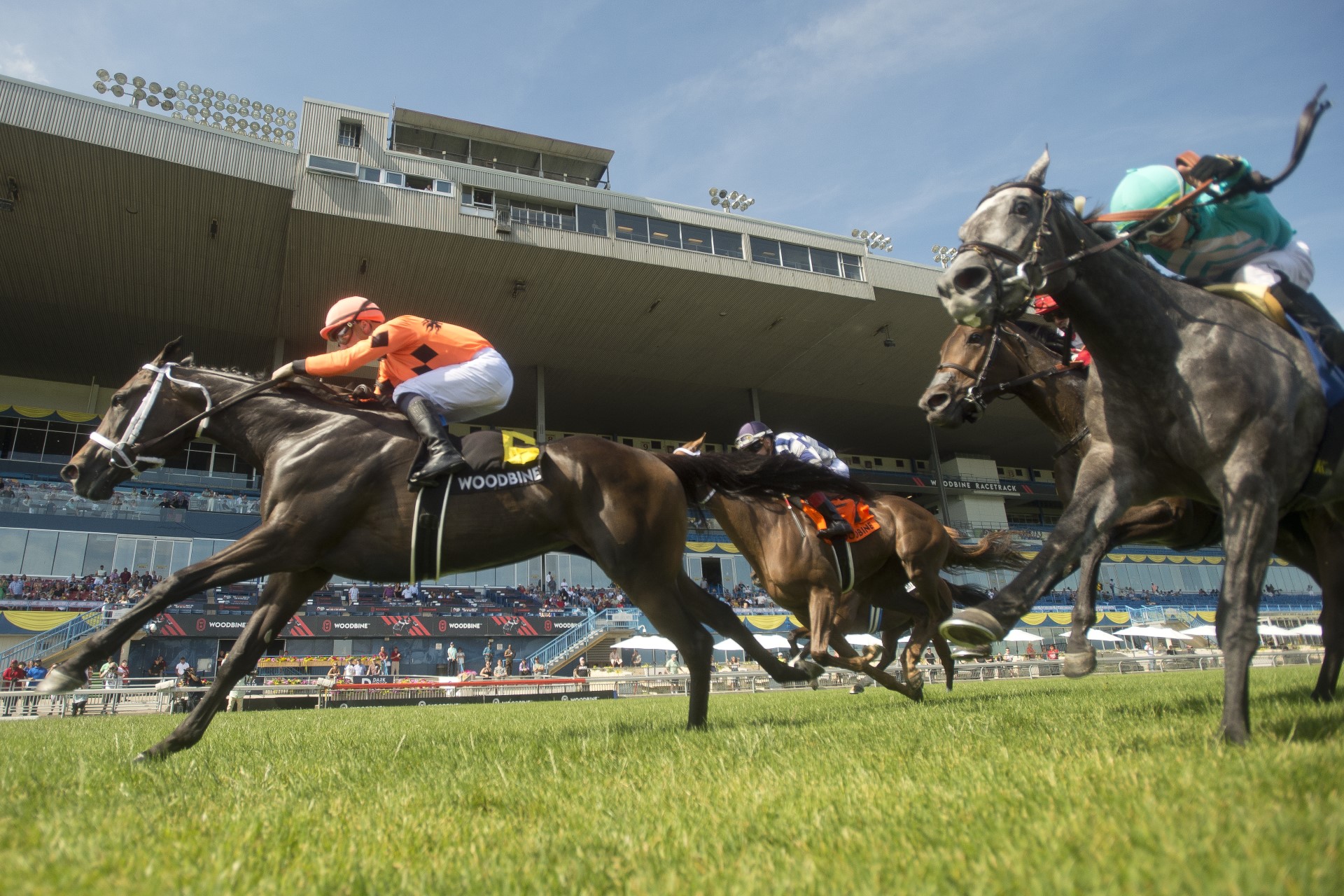 Mohawk Trail right at home in Alywow - Woodbine Racetrack