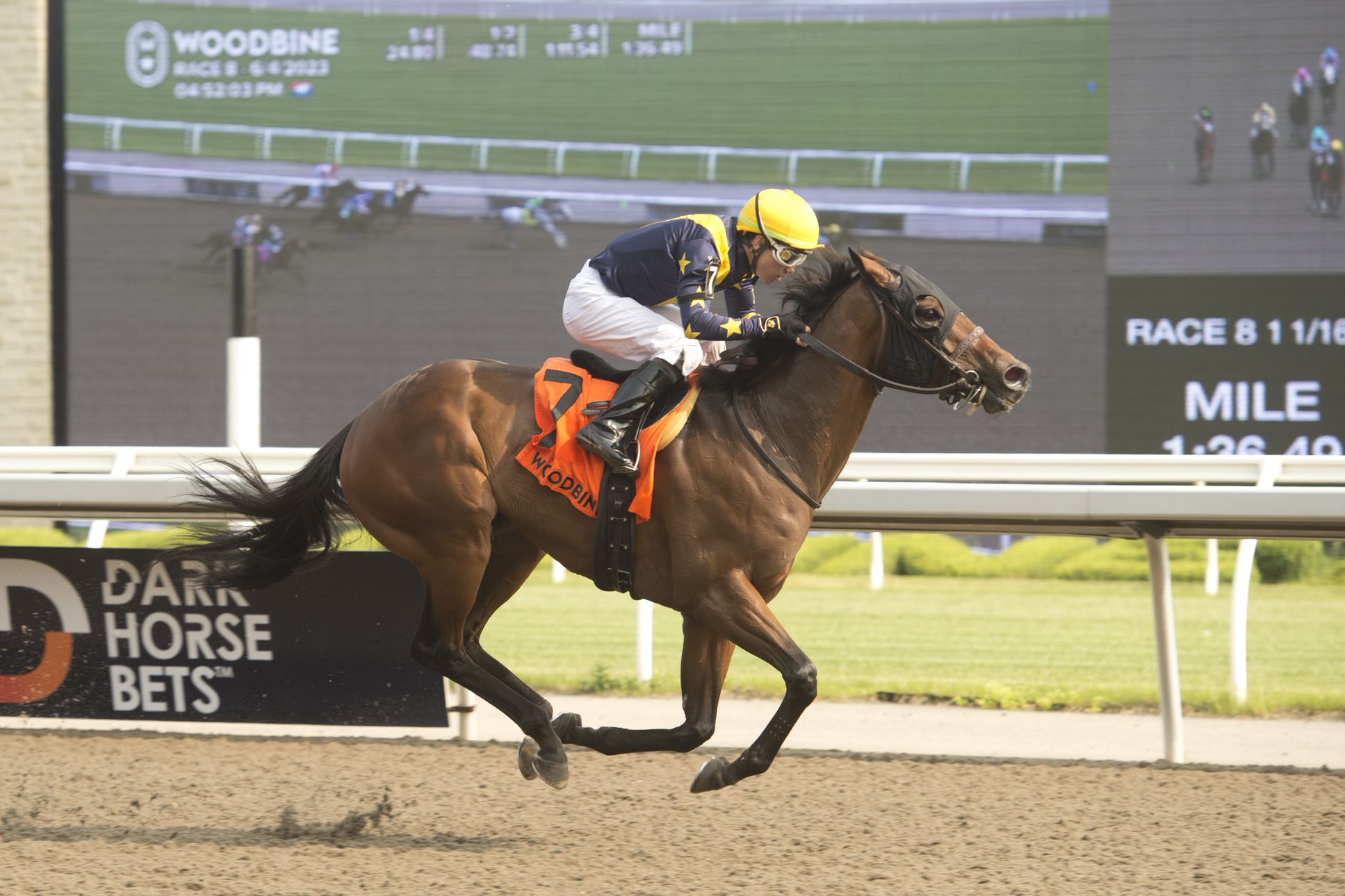 Treason in top form heading into Grade 3 Dominion Day - Woodbine Racetrack