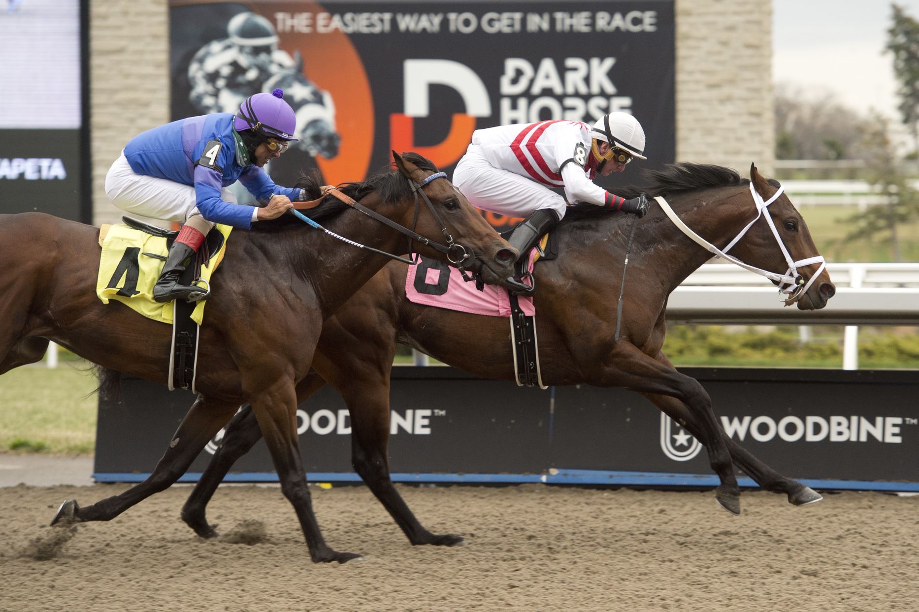 Woodbine Winter Watch: Steven Chircop and Sahin Civaci - Woodbine Racetrack