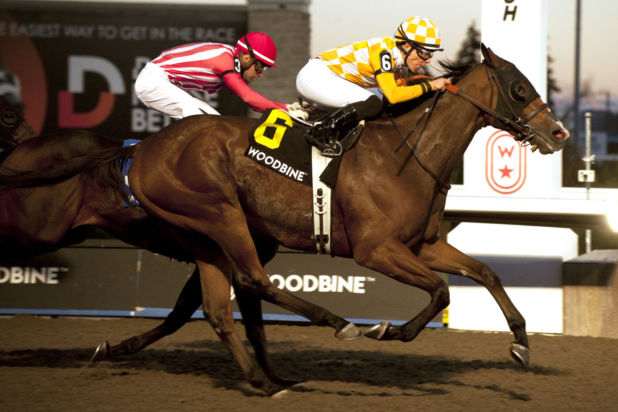 Canadians set to take flight on Pegasus World Cup day - Woodbine Racetrack